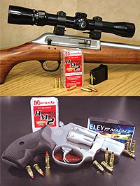 Hornady's .17 Mach 2