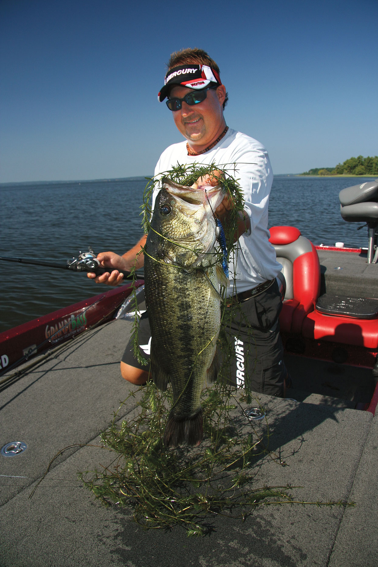 Punch Baits For Bass In Fisherman Punch Baits For Bass In Fisherman
