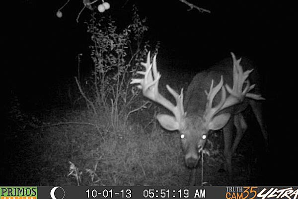 The Ohio 'Moose' Buck: 252-Inch Buckeye Beast