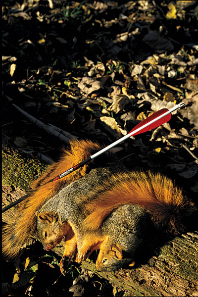 Why Hunting Small Game Will Make You a Better Big Game Hunte