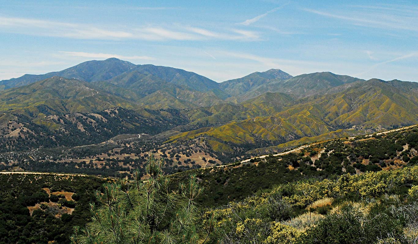 Hunting Inside the Perimeter