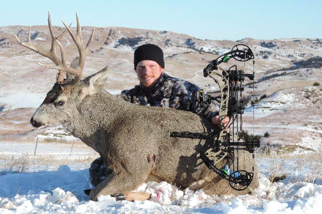 Mule Deer Photos Before and After