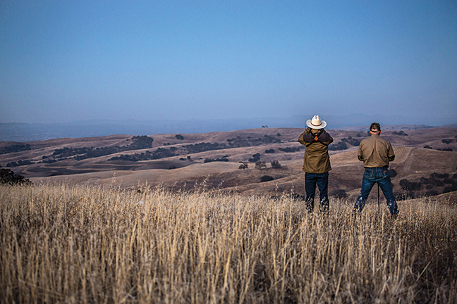 The Ultimate Wild Boar Hunting in California