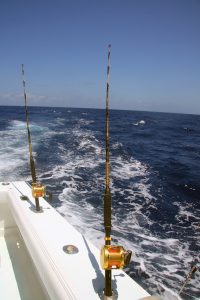 Trolling Speed and Bait Position - Florida Sportsman