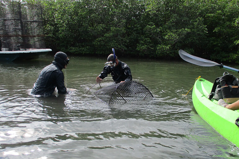 Company Plants Seagrass Habitat in Fort Pierce - Florida Sportsman