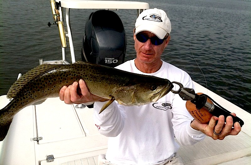 Seatrout - Florida Sportsman