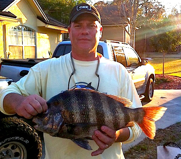 Sheepshead - Florida Sportsman