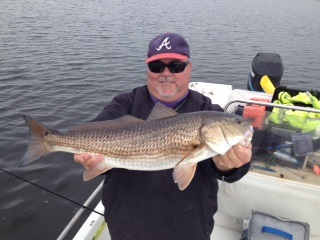 Redfish - Florida Sportsman
