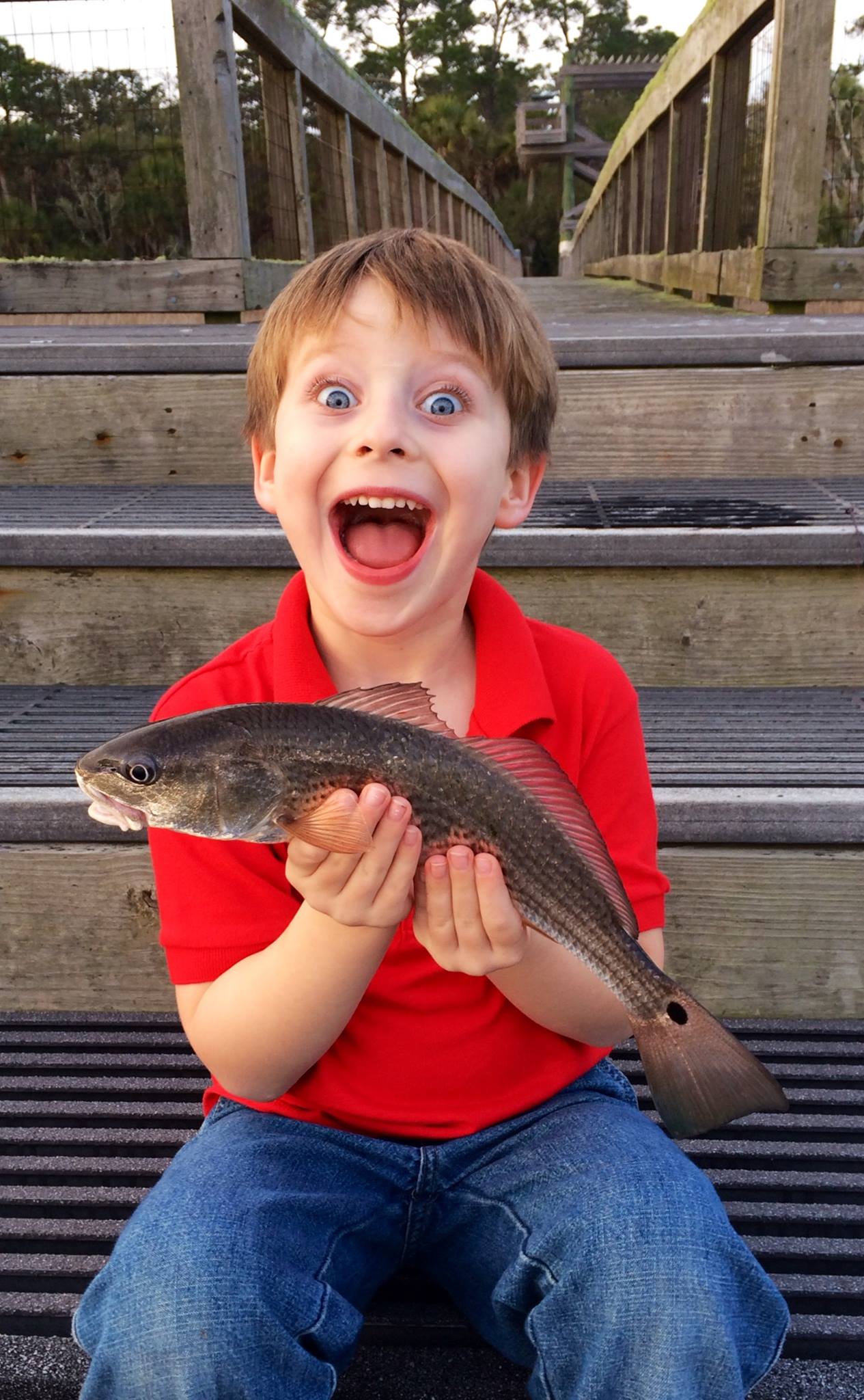 Redfish - Florida Sportsman