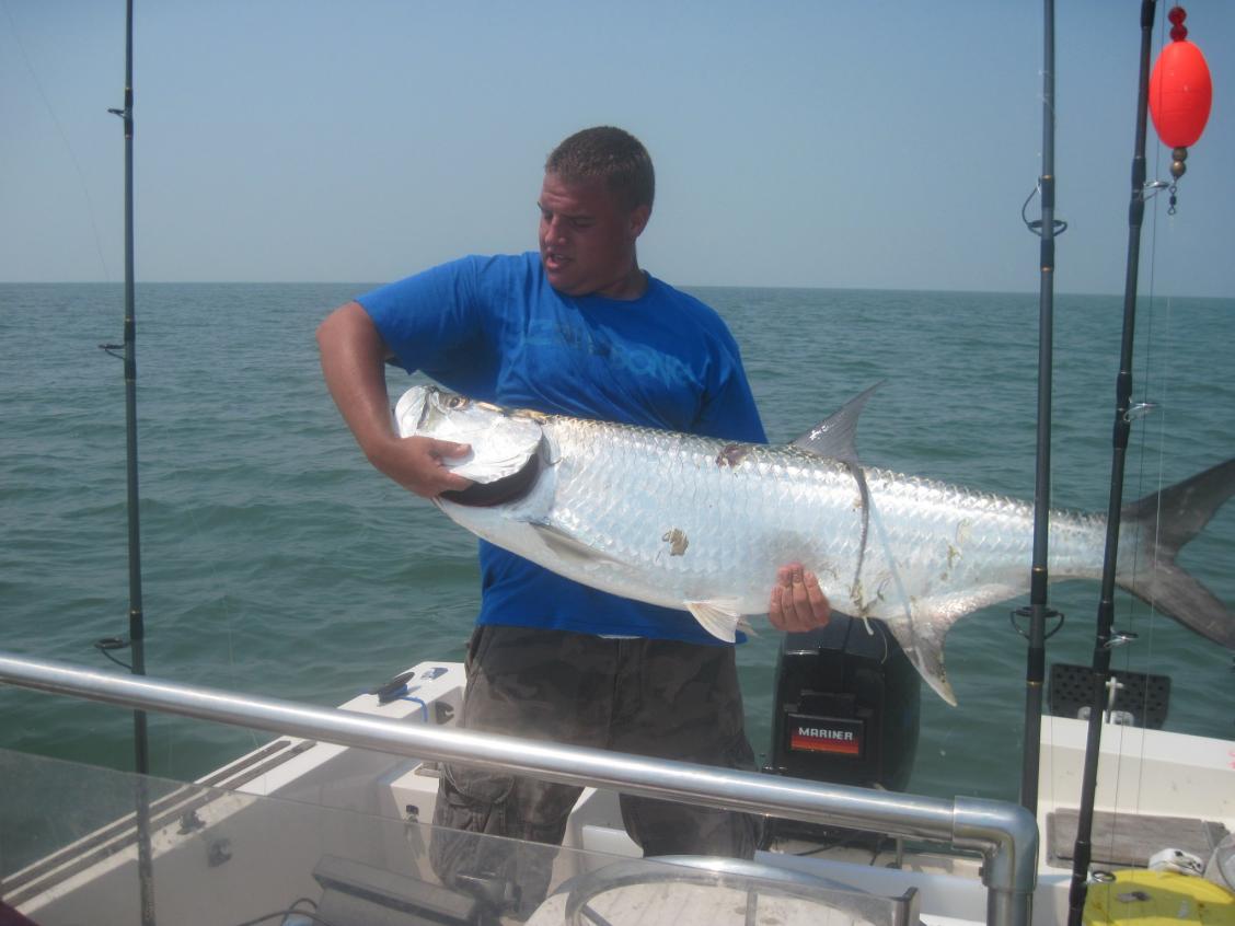 Tarpon - Florida Sportsman