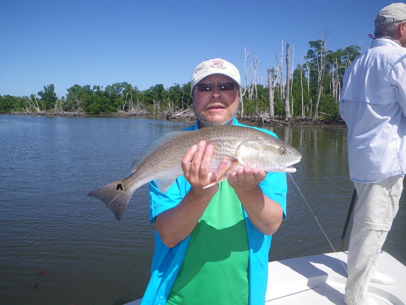 Redfish - Florida Sportsman