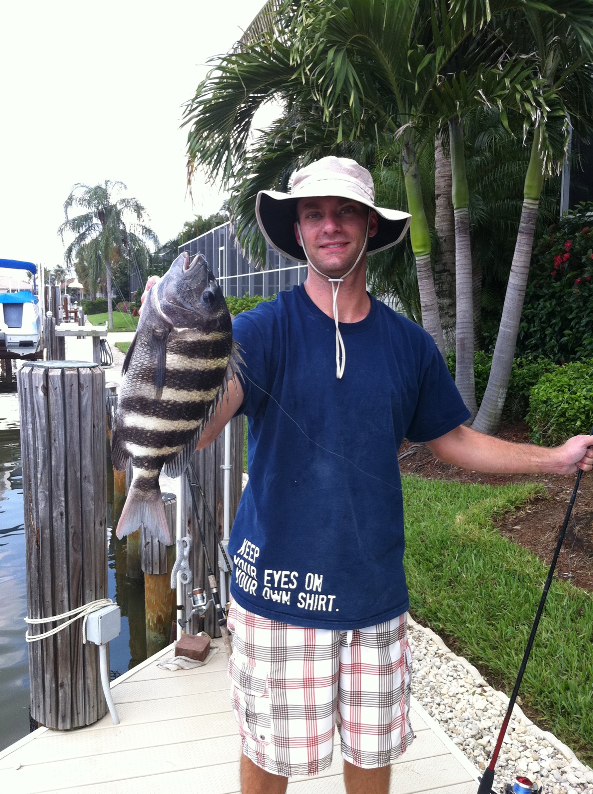 Sheepshead - Florida Sportsman