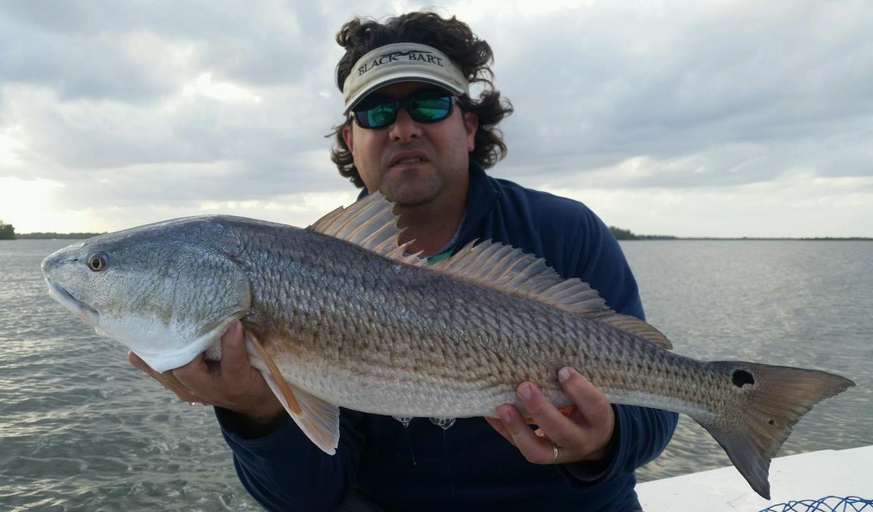 Redfish - Florida Sportsman
