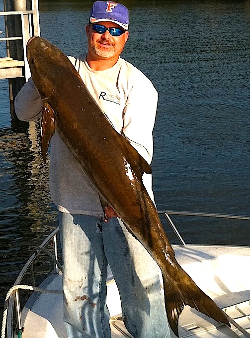 Cobia - Florida Sportsman
