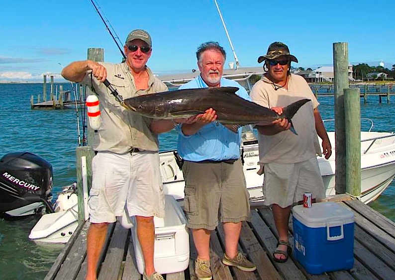 Cobia - Florida Sportsman