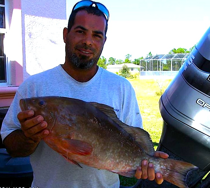 Red Grouper - Florida Sportsman