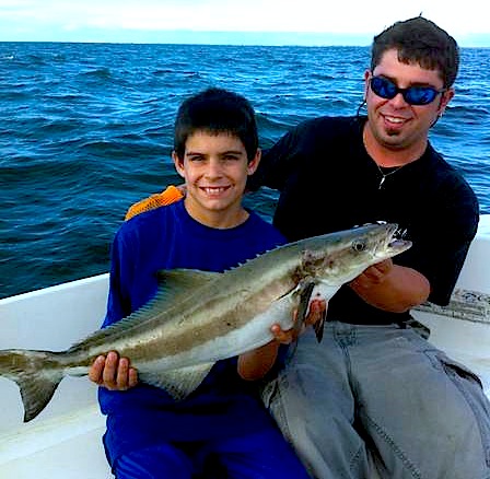 Cobia - Florida Sportsman