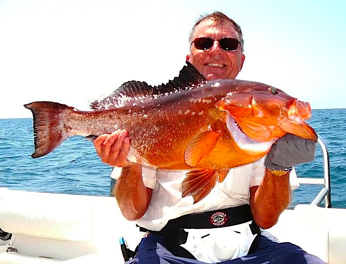 Red Grouper - Florida Sportsman
