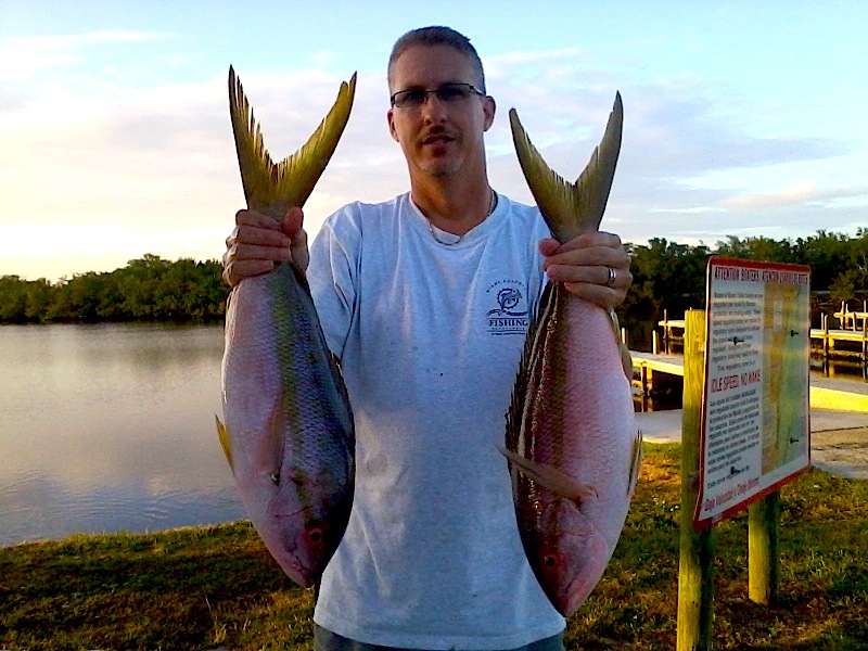 Yellowtail Snapper - Florida Sportsman