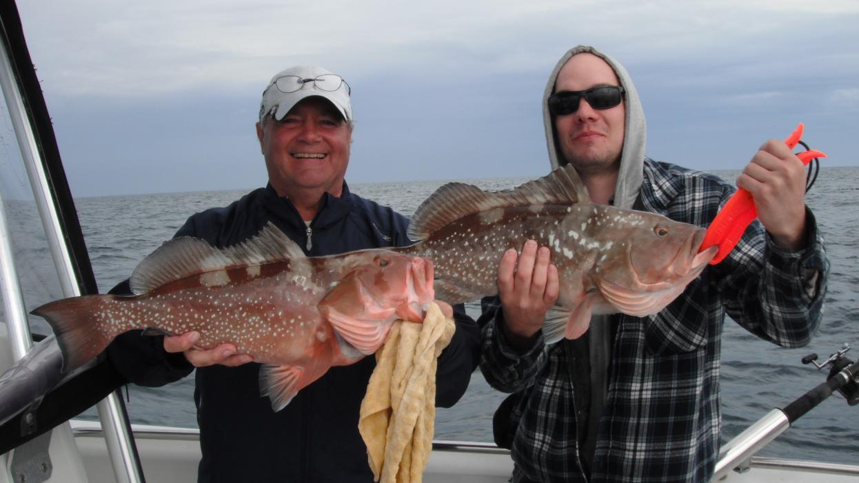 Red Grouper - Florida Sportsman