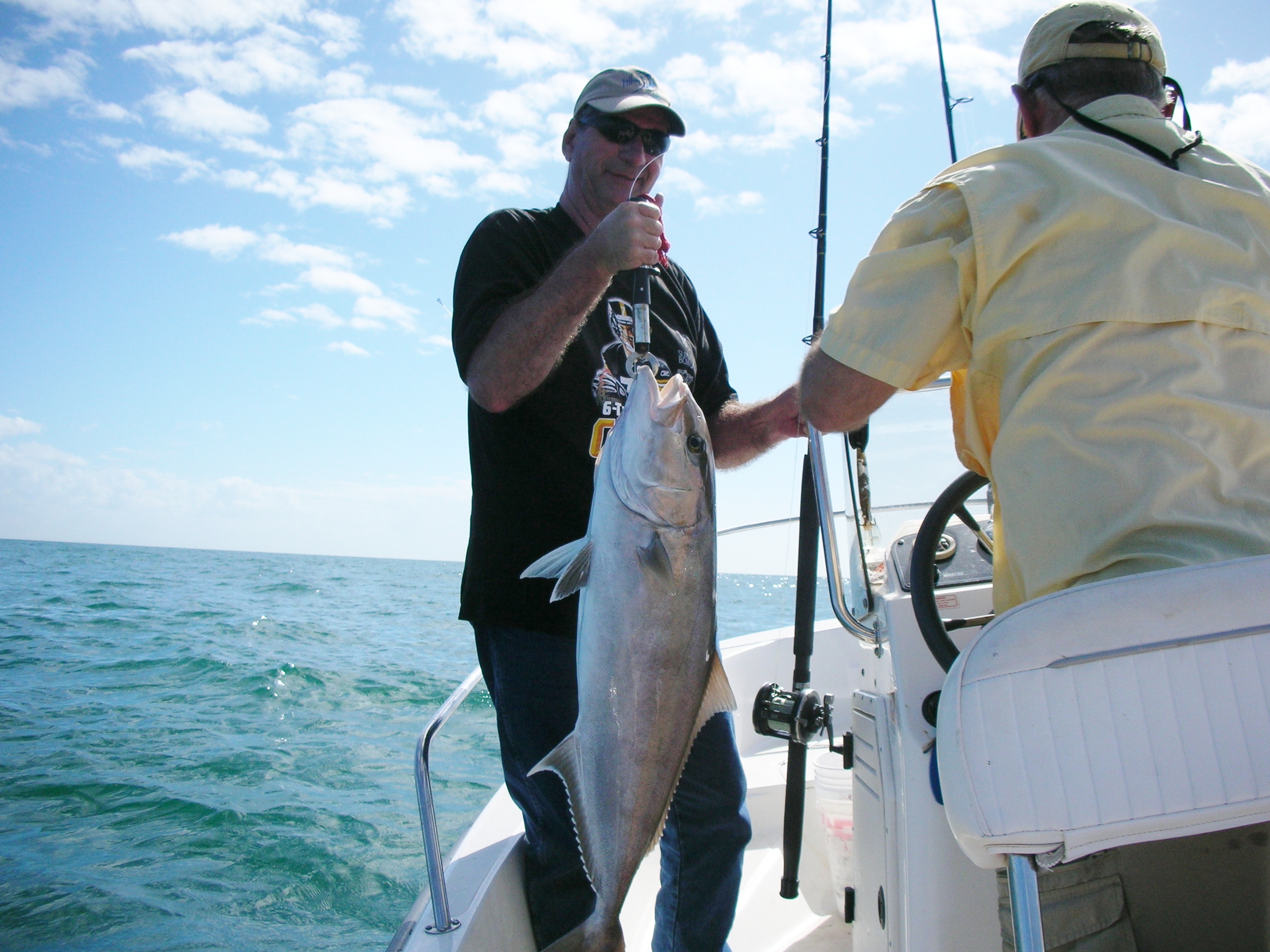 Greater Amberjack - Florida Sportsman
