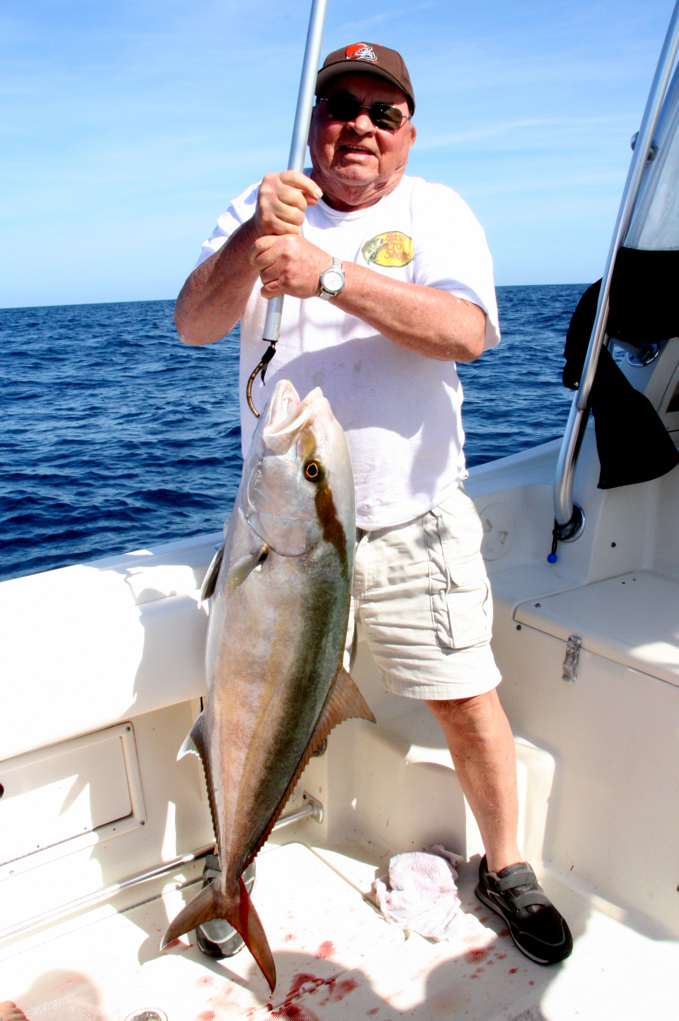 Greater Amberjack - Florida Sportsman