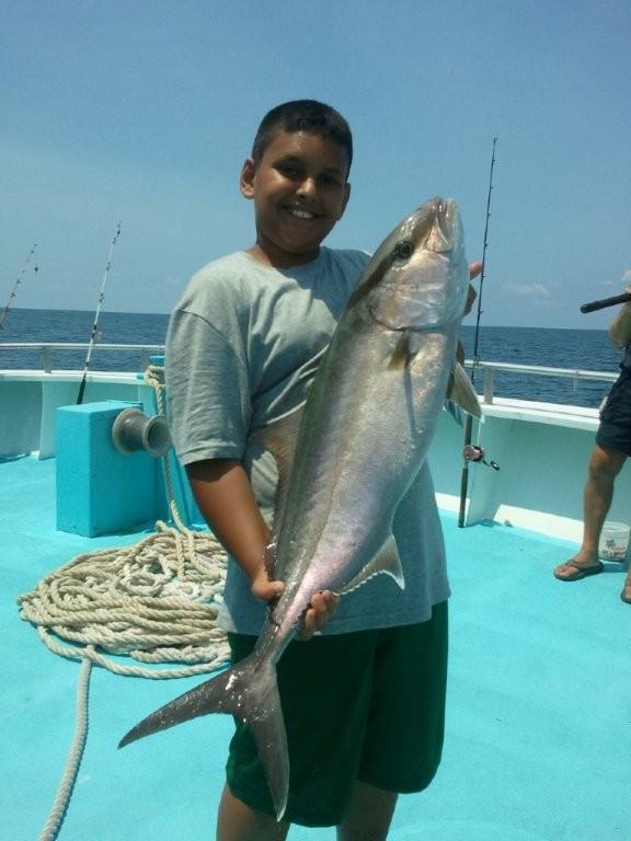 Greater Amberjack - Florida Sportsman
