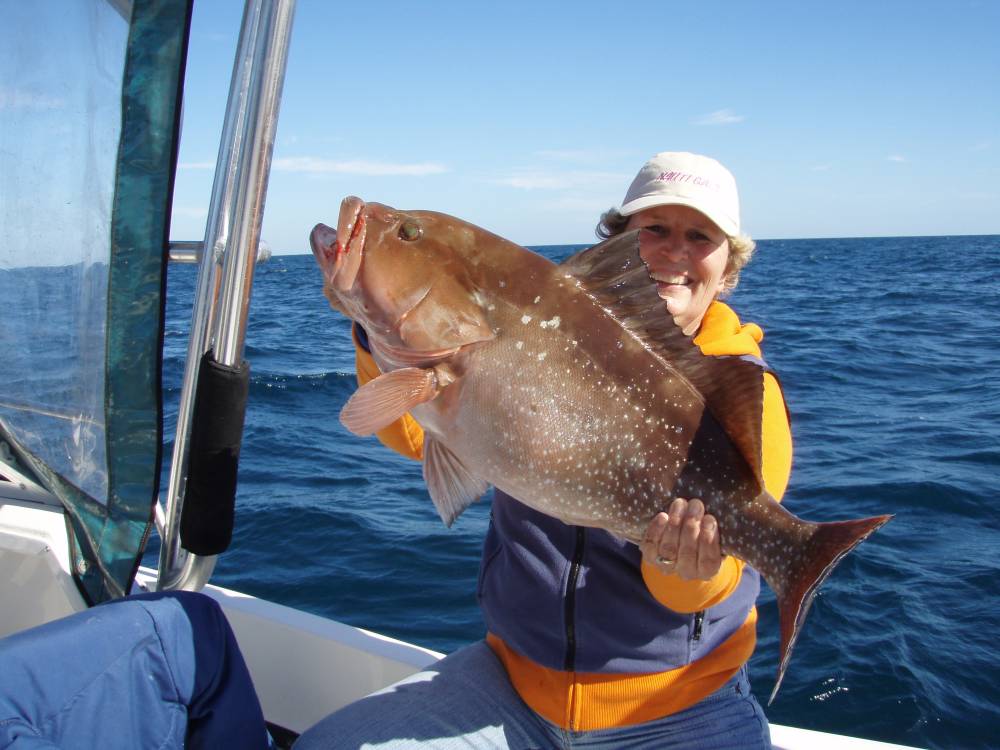 Red Grouper - Florida Sportsman