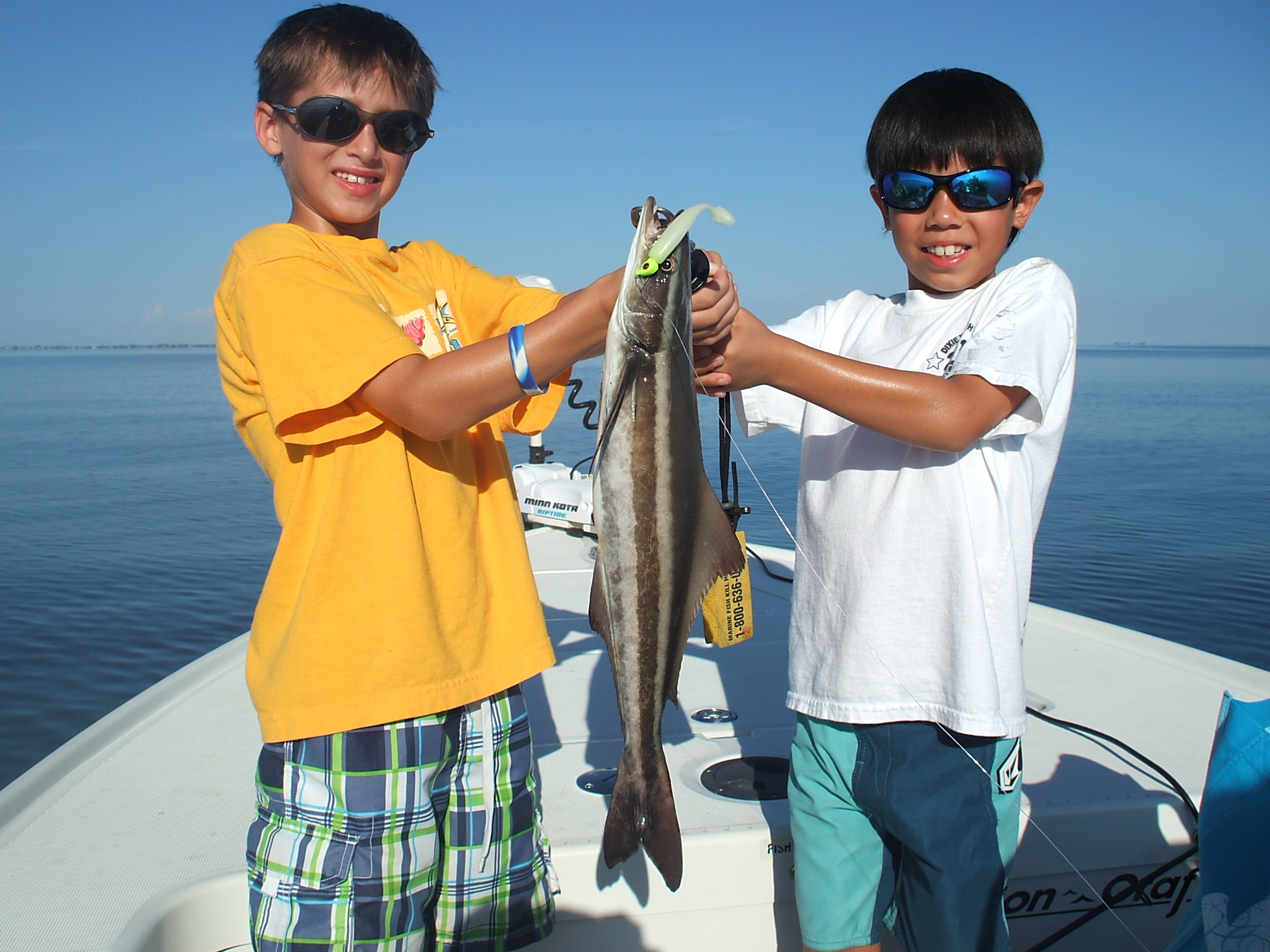 Cobia - Florida Sportsman