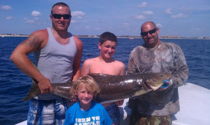 Cobia - Florida Sportsman