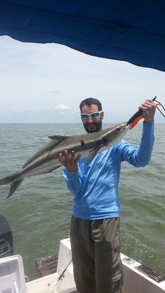 Cobia - Florida Sportsman