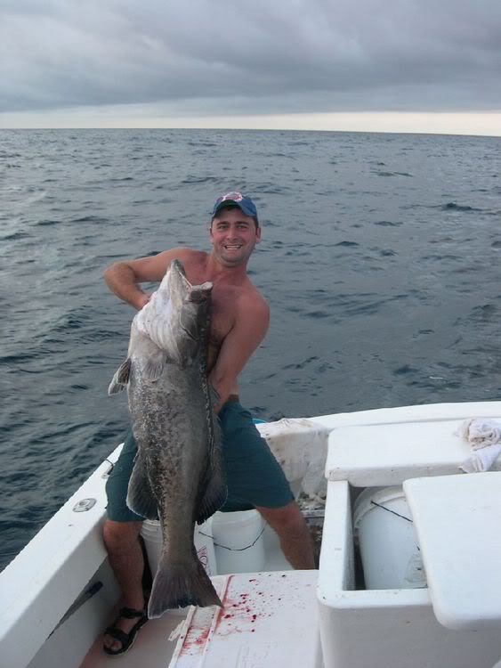 Gag Grouper - Florida Sportsman