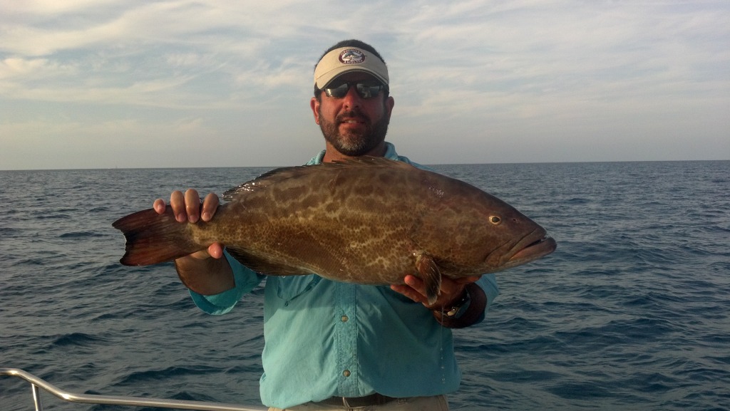 Black Grouper - Florida Sportsman