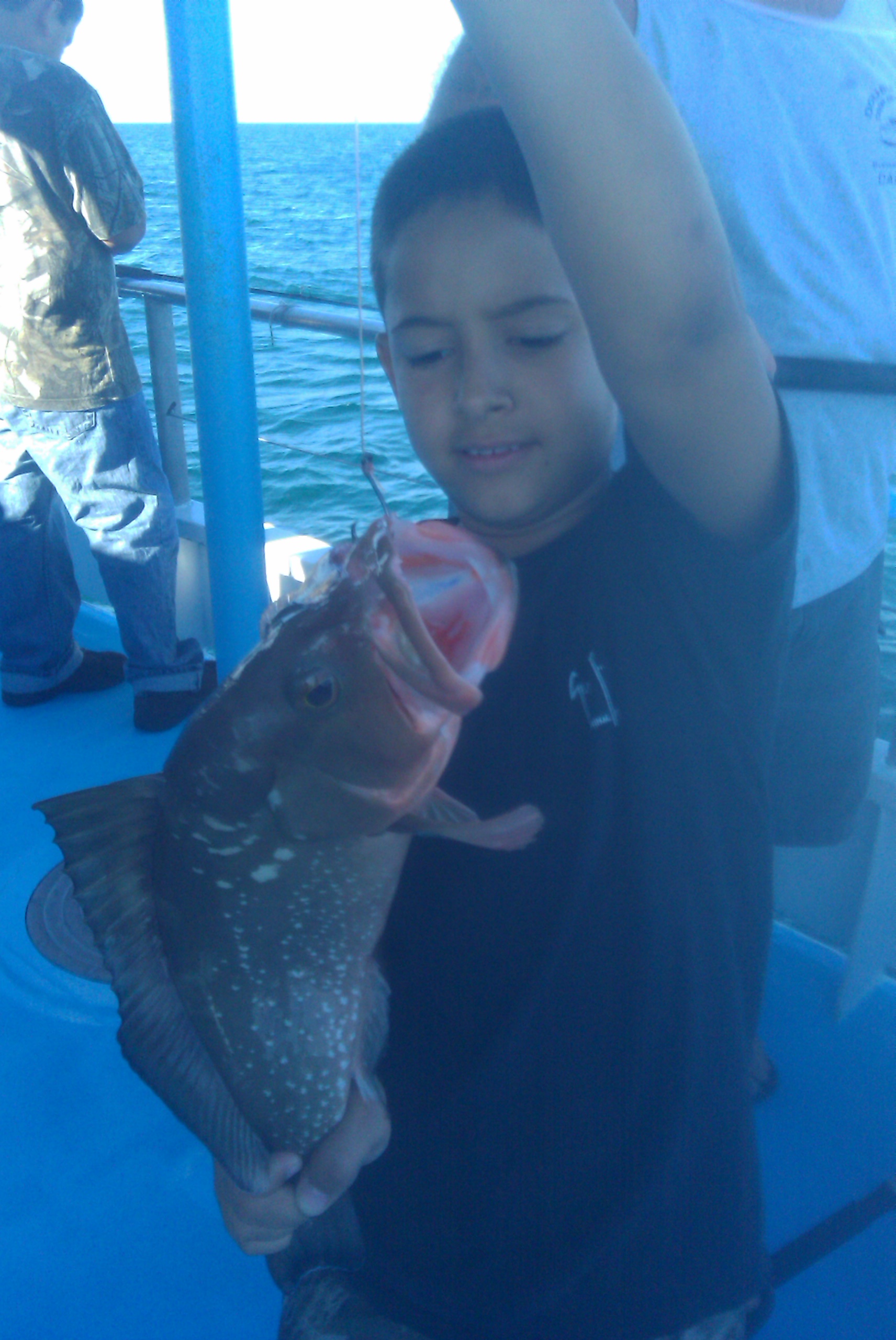 Red Grouper - Florida Sportsman
