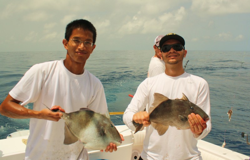 Triggerfish - Florida Sportsman