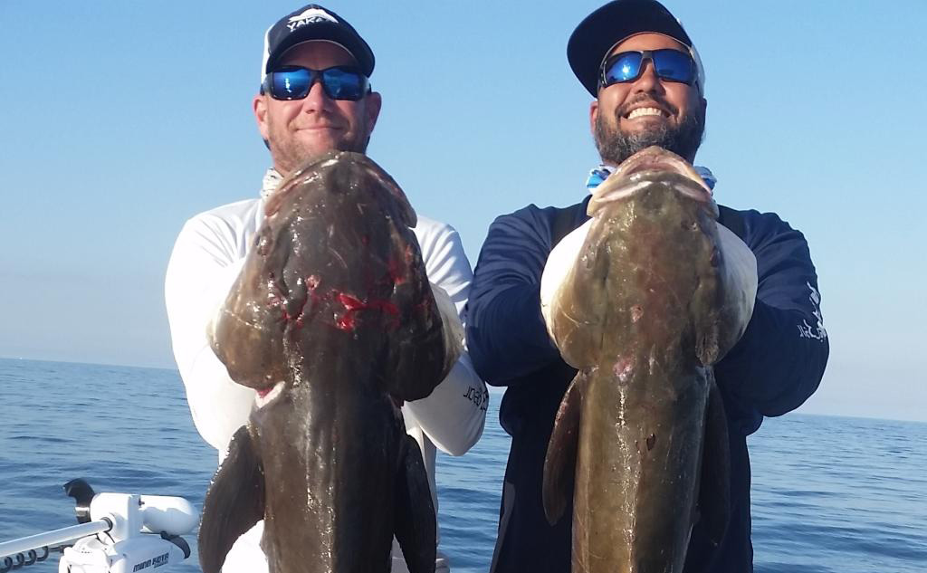Cobia - Florida Sportsman