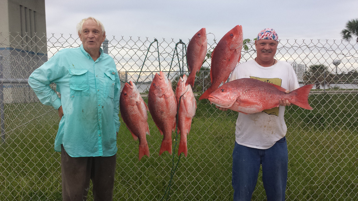 Red Snapper - Florida Sportsman