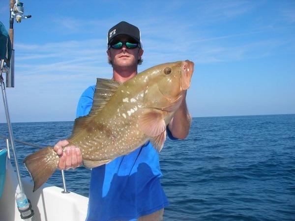 Red Grouper - Florida Sportsman