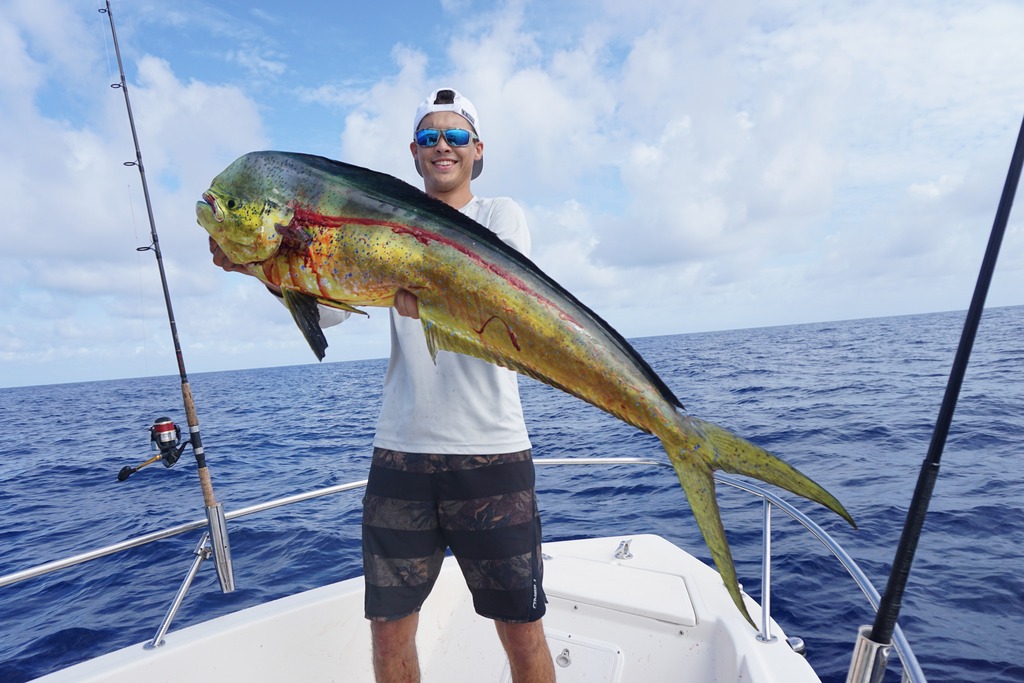 Dolphin - Florida Sportsman