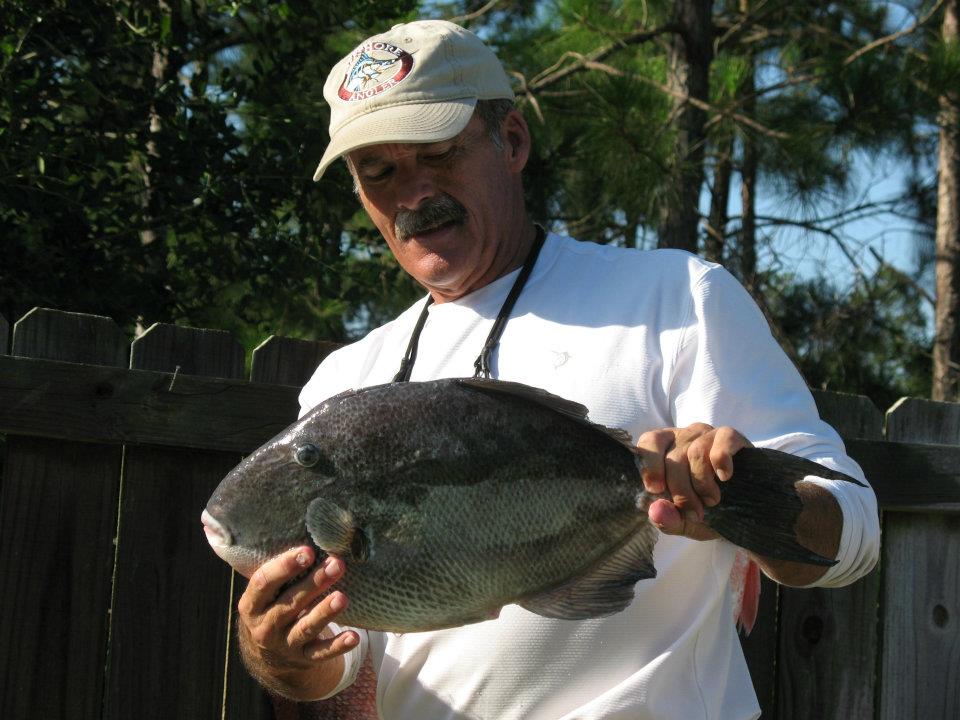 Triggerfish - Florida Sportsman