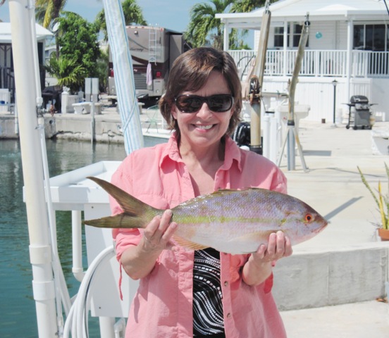 Yellowtail Snapper - Florida Sportsman