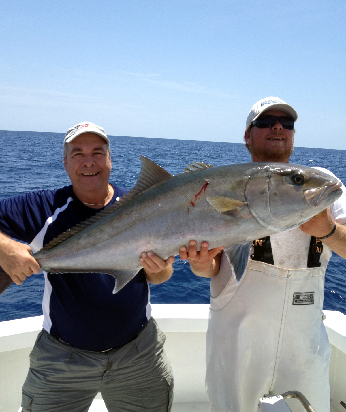 Greater Amberjack - Florida Sportsman